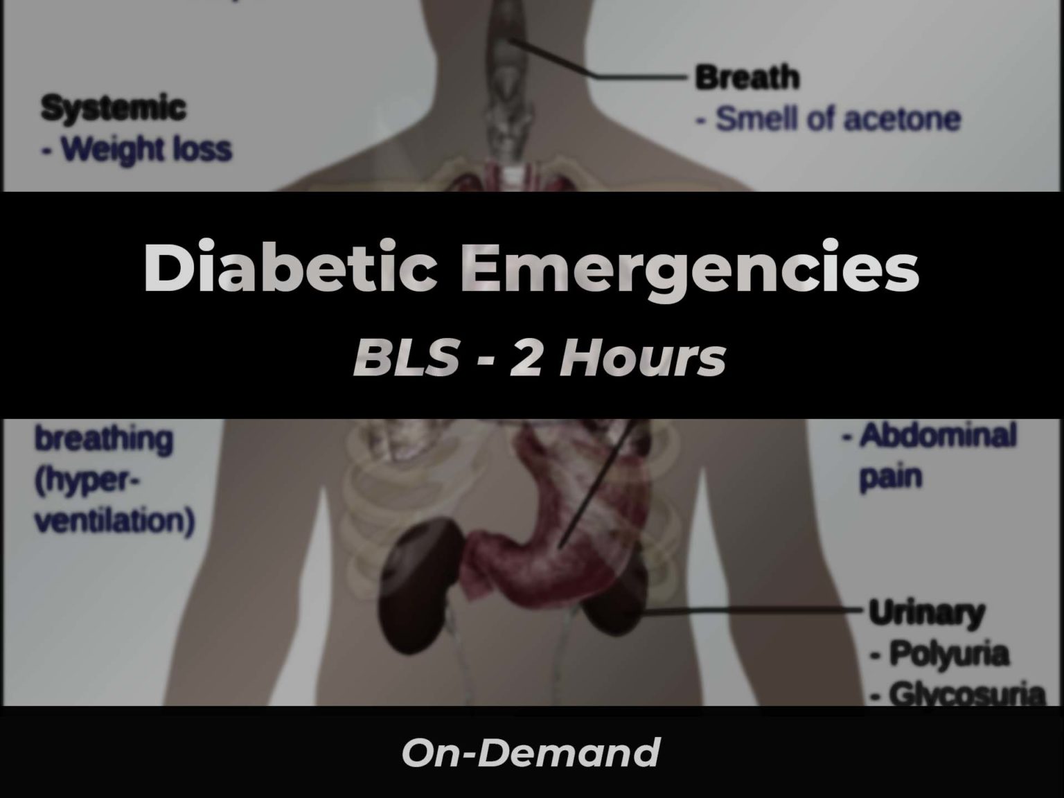 Diabetic Emergencies BLS - 911 e-Learning Solutions