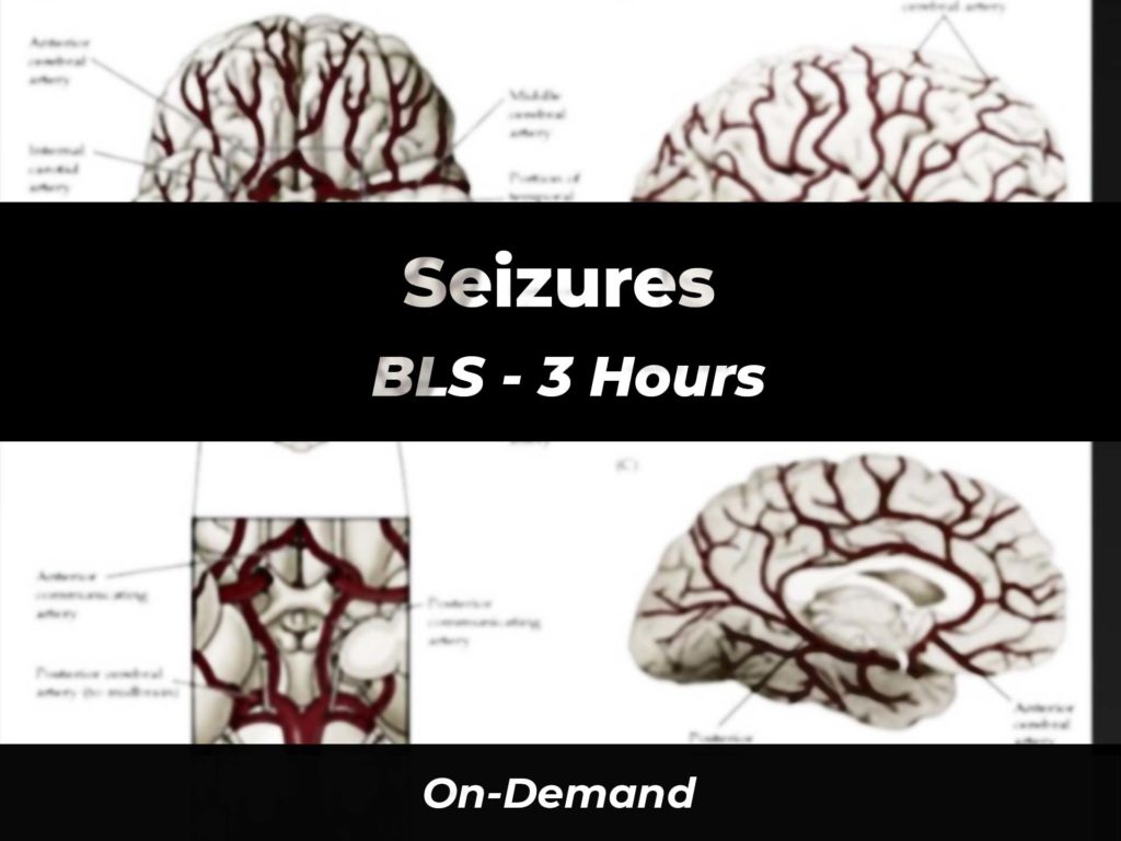 Seizures BLS - 911 e-Learning Solutions